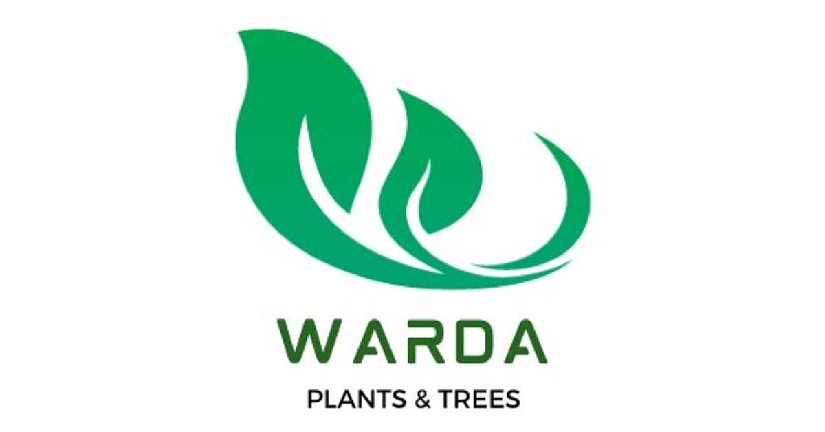 WARDA Plants